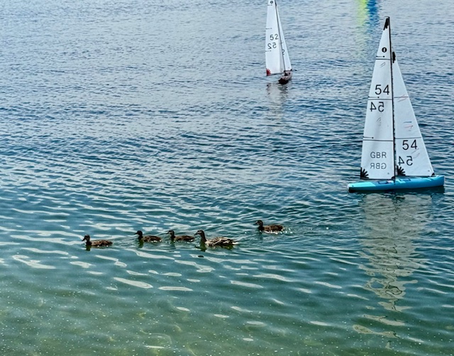 IOM Sunday – Light Breezes But a Ton of Fun…!! | Datchet Radio Sailing ...